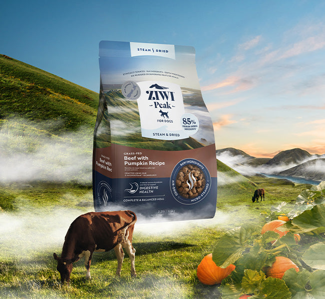Steam & Dried dog food | ZIWI® Global