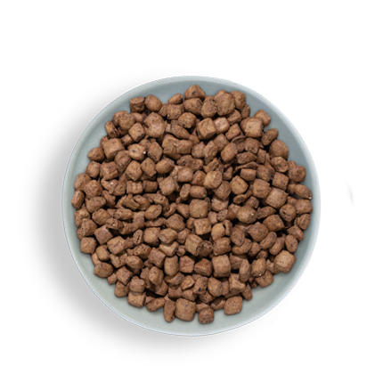 ZIWI® | Award-winning New Zealand Pet Food | ZIWI® Global