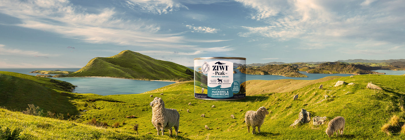 ZIWI® | Award-winning New Zealand Pet Food | ZIWI® Global