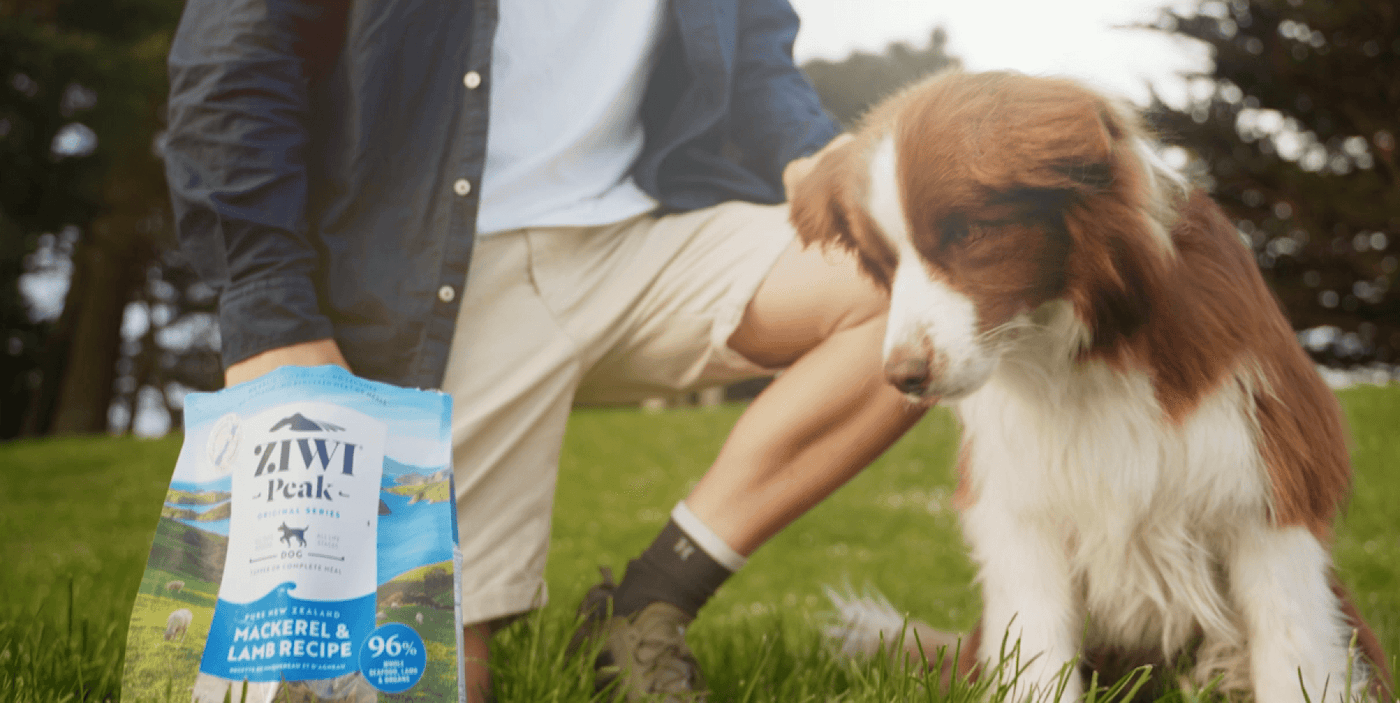 Transitioning Your Pet | ZIWI® | ZIWI® Global